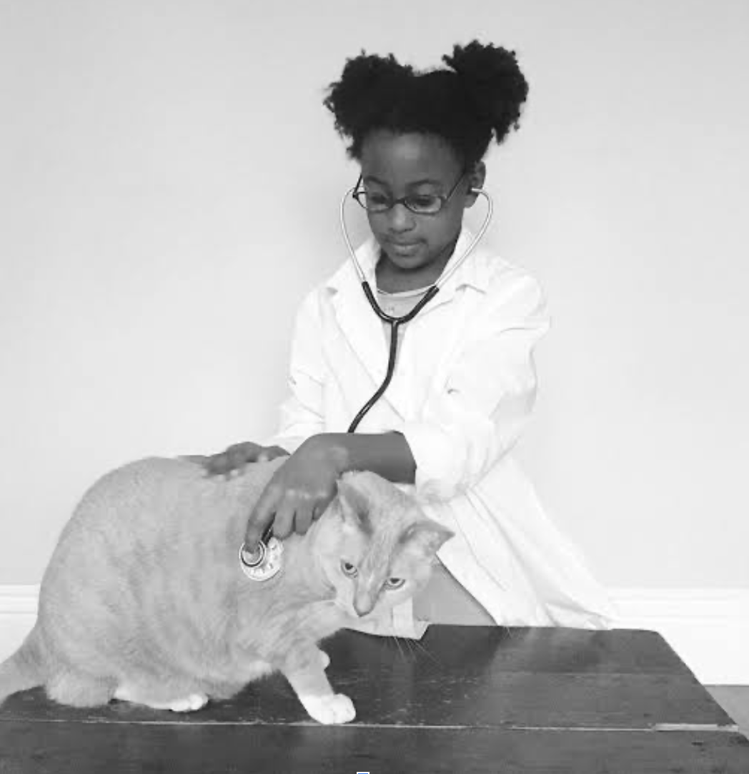 Dr. Alfreda Johnson Webb - STEMMCHEQ